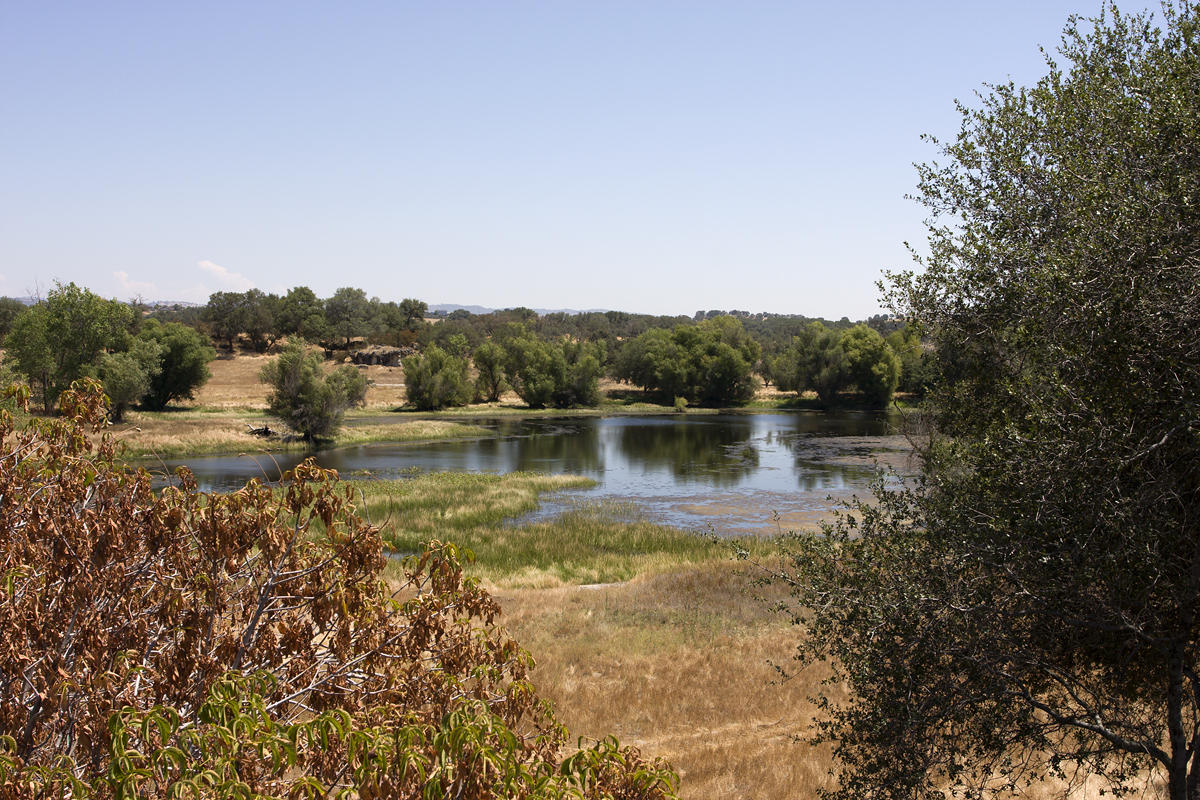 Trinitas Golf Course | My Photographic Memories